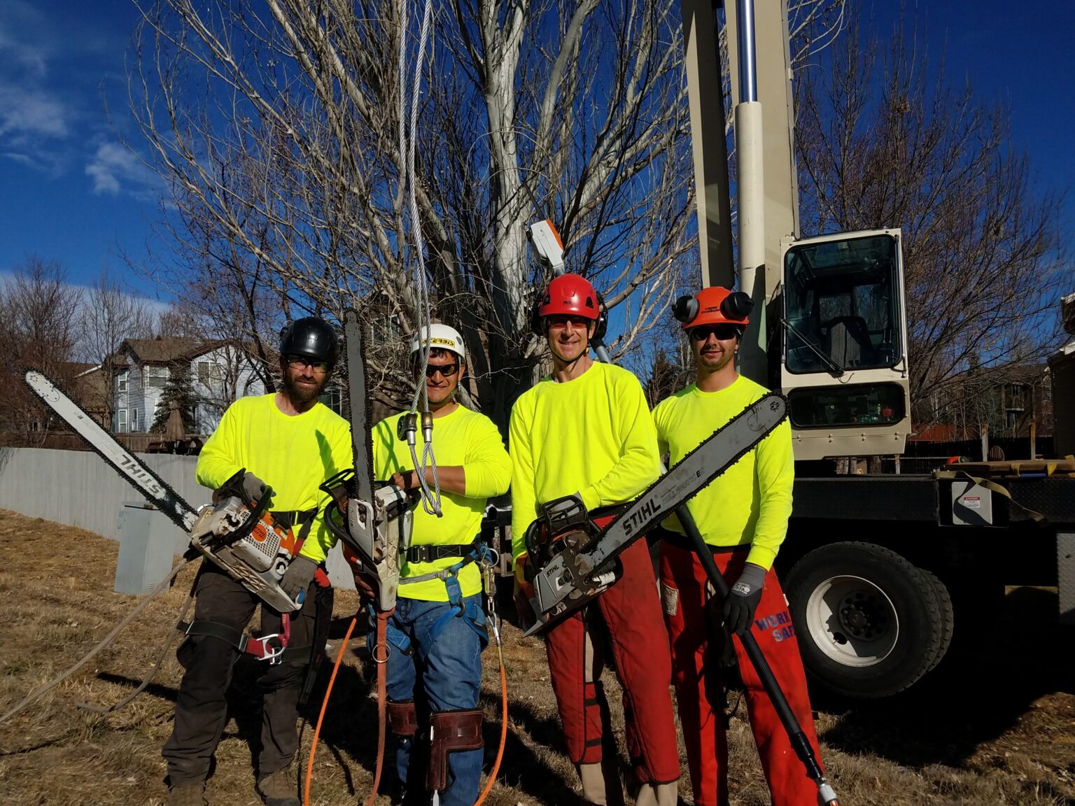 Affordable Tree Services – making your trees healthy and happy